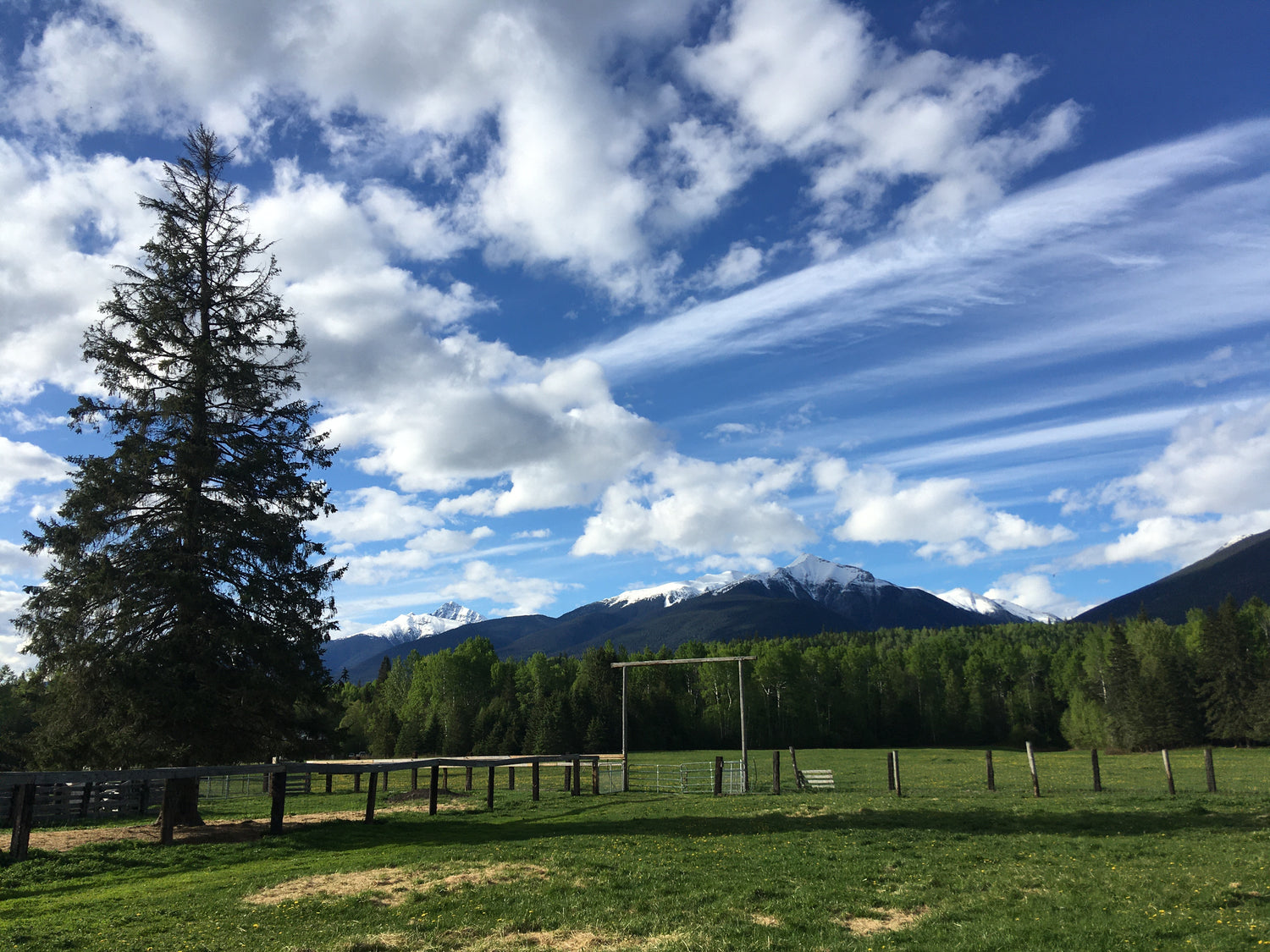 Regenerative Agriculture – Grazing Patch Farm